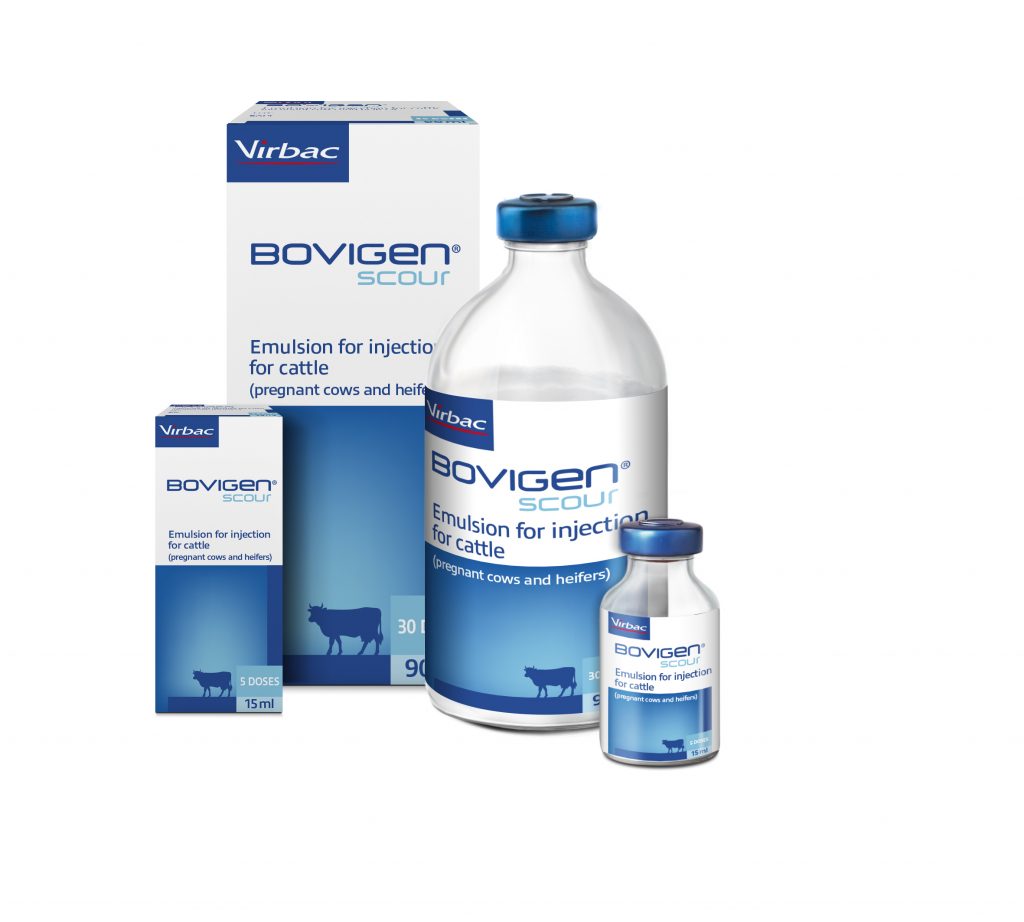 Tethera Vets Newsletter December 2018 | Welcome to Tethera!